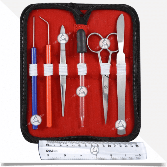 Dissection Instruments Kit 7 pcs- handmade tools | ISAHA Medical