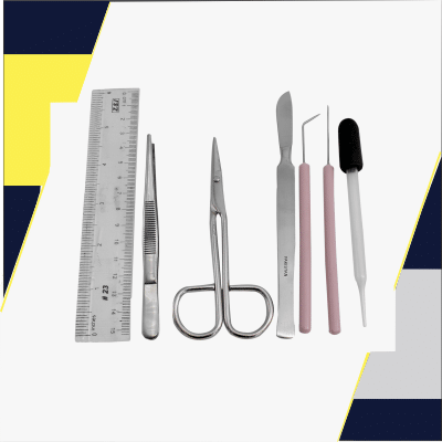 Basic Dissection Kit | Hand-Made Dissection Kits for beginners